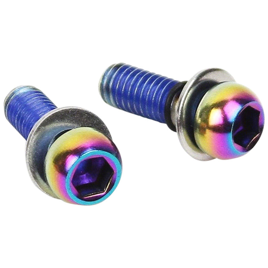 SRAM Direct and STD Mount Bolts, Rainbow, Pair | Bikeparts.Com